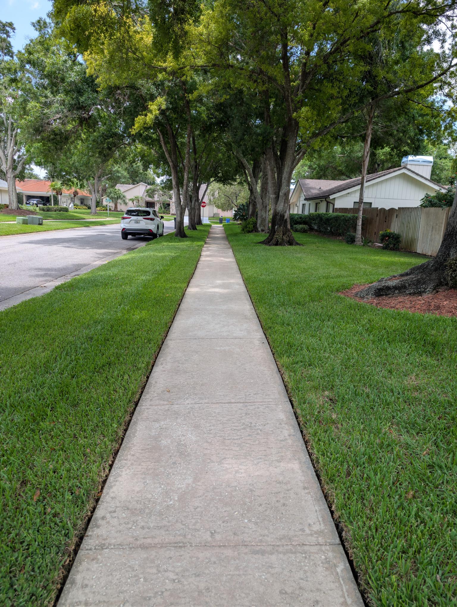 Driveway, Walkway, and Fence Cleaning in Carrollwood FL | Quick Clean ...